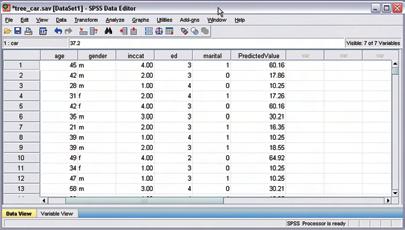 SPSSマニュアル＆最新情報あれこれ: 【機能詳細】PASW Decision Trees(旧名称：SPSS Decision Trees)